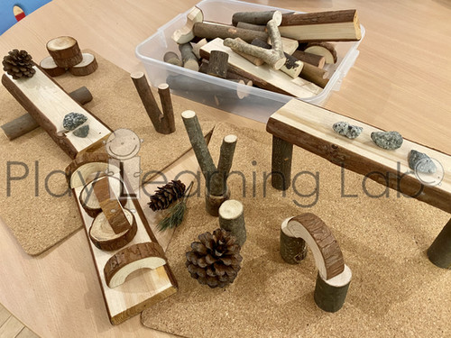 Building with Wooden Blocks and Natural Materials | playlearninglab