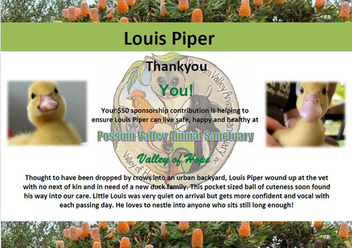 $50 Animal Sponsorship - Louis Piper | PossumValley