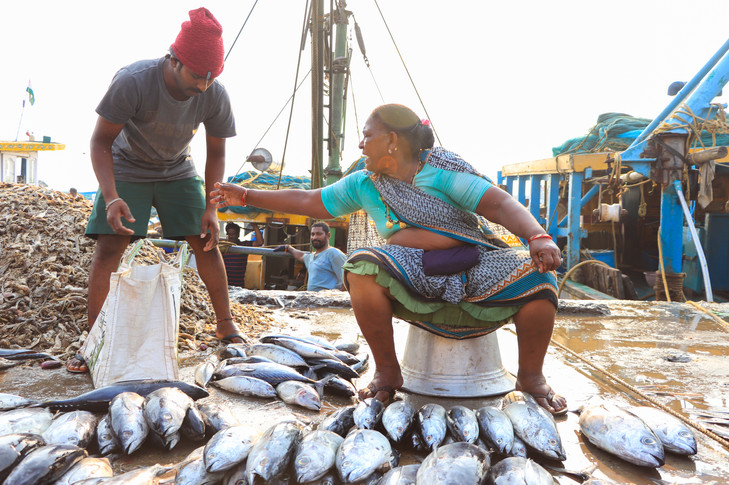 Fisherwomen of Andhra | Almaas portfolio