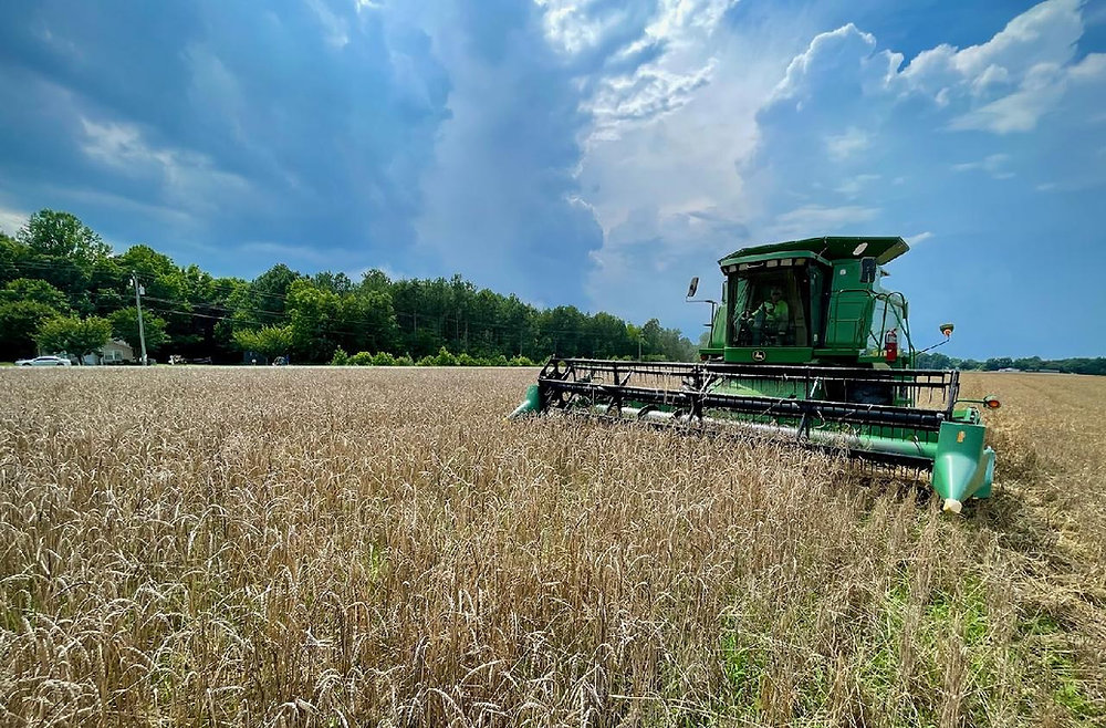Reflections on the 2023 Harvest