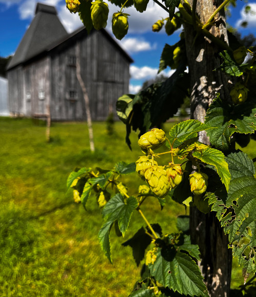 The Hop House Distillery in Upstate New York | The Beardslee Homestead ...