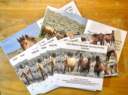 Carter Reservoir Mustangs: Surviving The Wild CATALINA | Carter Wild ...