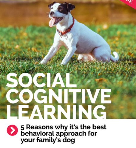 eBook - Social Cognitive Learning in Dog Training | LECA