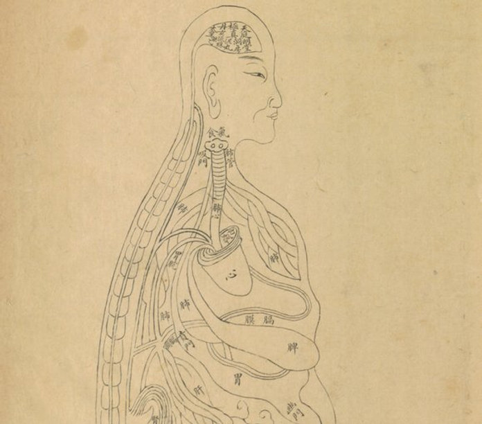 Gui Pi Tang: Restore the Spleen Decoction