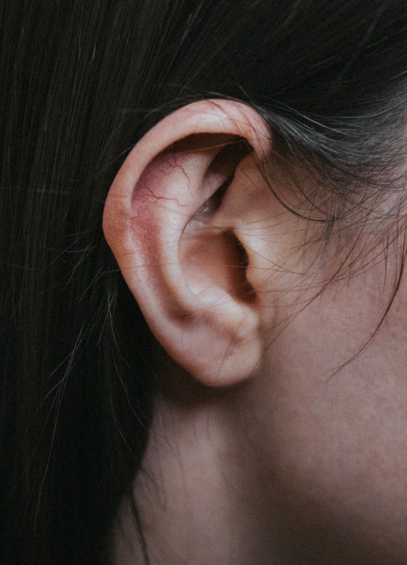 Ear Seeds In Traditional Chinese Medicine Ear Seeds In Traditional Chinese Medicine