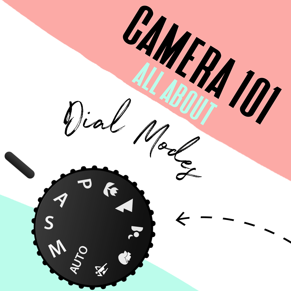 Camera Setting 101: getting to know your dial