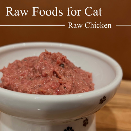 Raw Chicken Cat | Kizzy'sModishRawFood