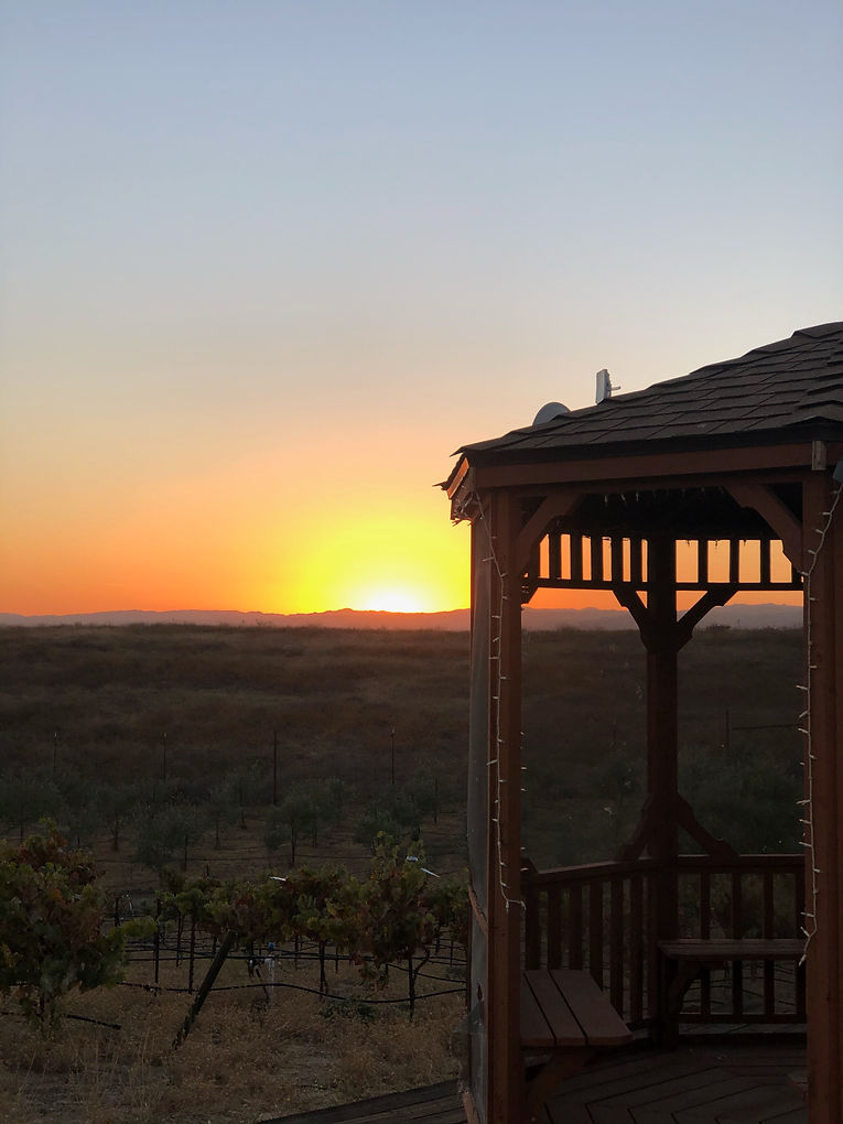 Stilson Cellars | Winery | Paso Robles