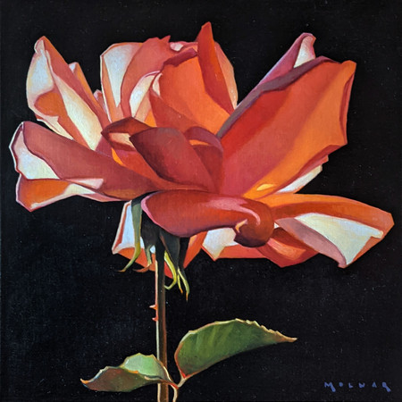 Marcia Molnar | www.thepaintedjournal.com