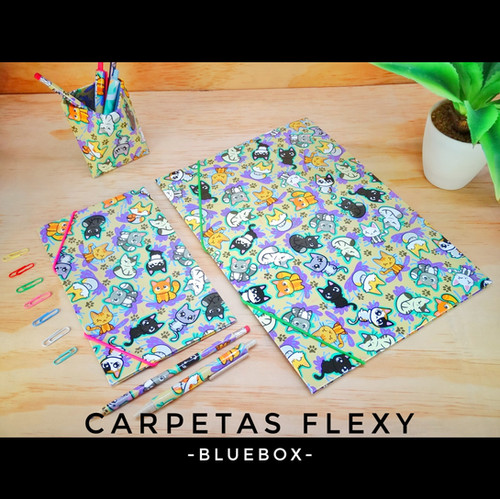 Carpetas Flexy | BlueBox