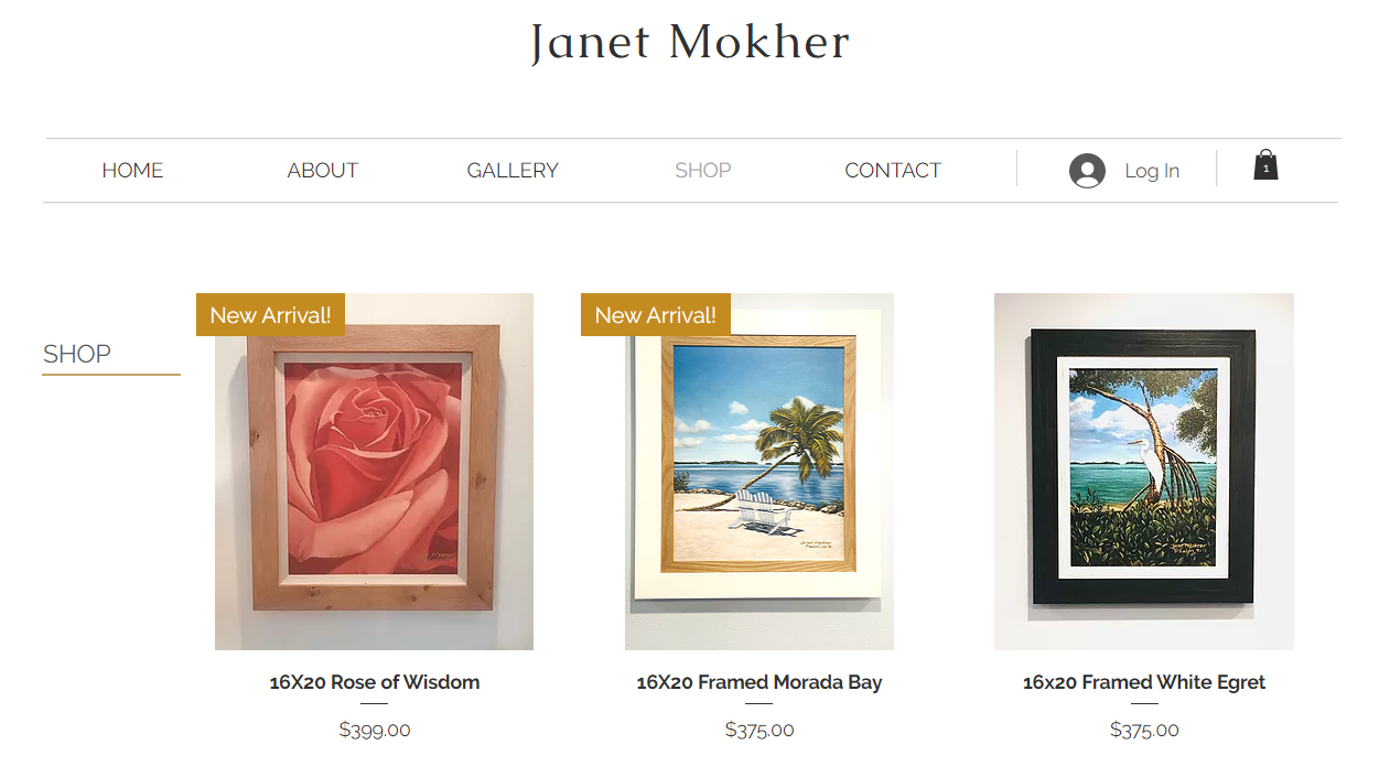 SHOP | ColorsofCreationbyJM