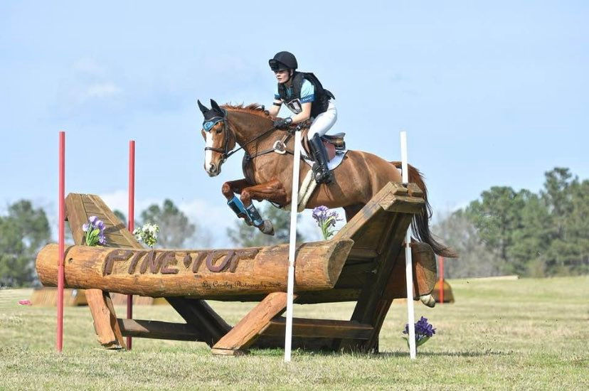 Go Ponies to Show Ponies: Following Kylee Casey and Her Two OTTBs