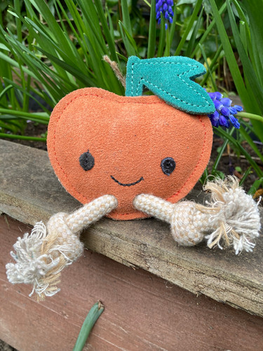 Sancho the Satsuma - Dog Toy - Eco-Friendly | Wag Your Tail