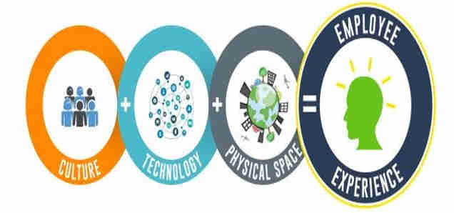 Employee Experience To Enhance Employer Branding - Yellow Seed Consulting