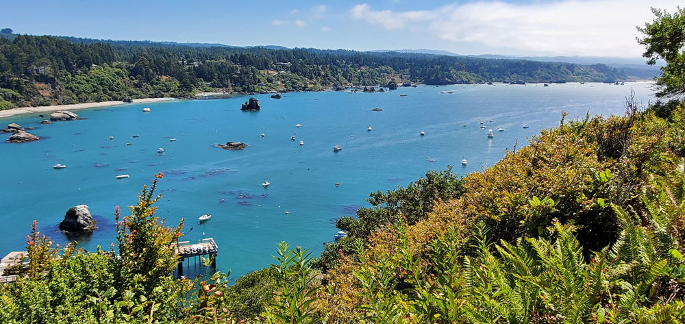 Trinidad, California