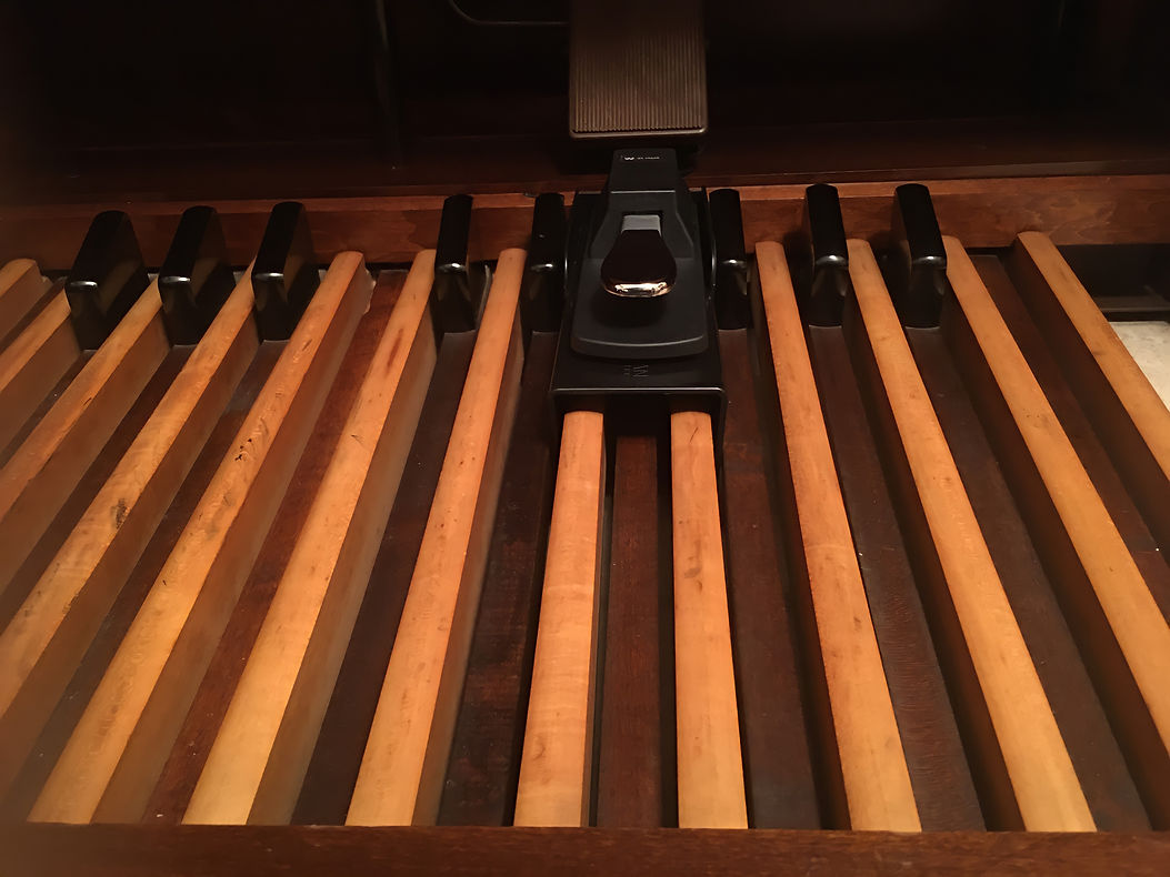 WP ORGAN PEDAL HOLSTER