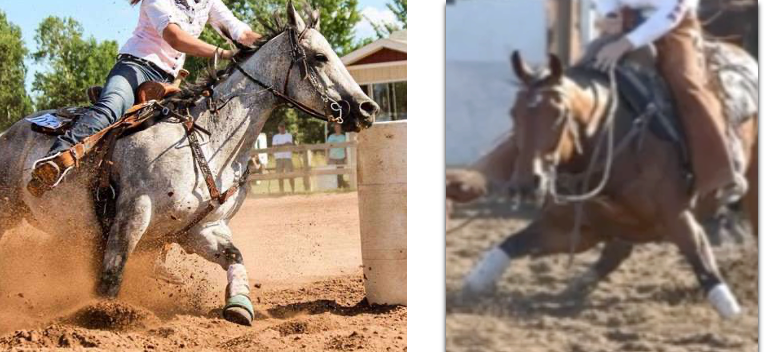 THE THORACIC SLING EXPLAINED