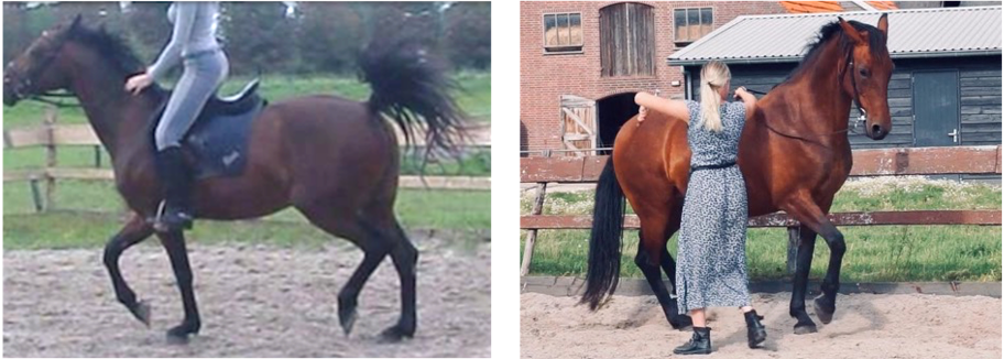 THE THORACIC SLING EXPLAINED