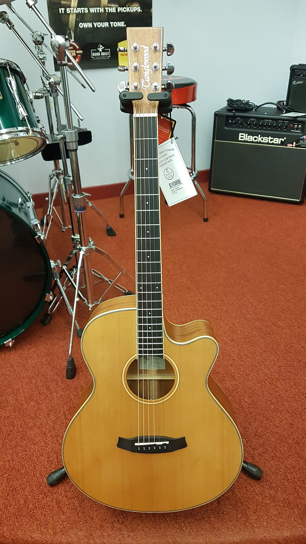 Tanglewood TW9 | Sound & Vision