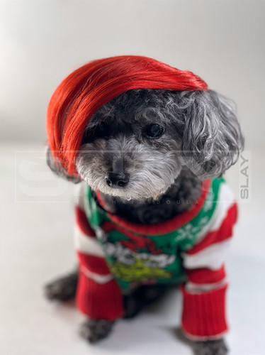 Paighton Unit | Princess and Shay