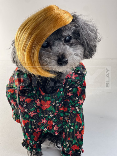 Ava Unit | Princess and Shay