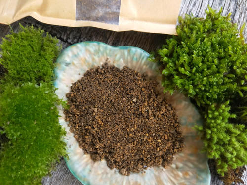 Moss Soil Substrate for Better Growth | Ladyfern Indoor Plants