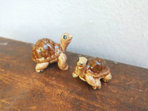 Miniature Tortoise Set | Ladyfern