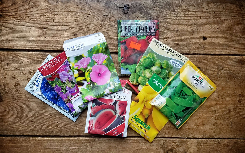 First Annual Seed Sightings: A Glimpse of Things to Come