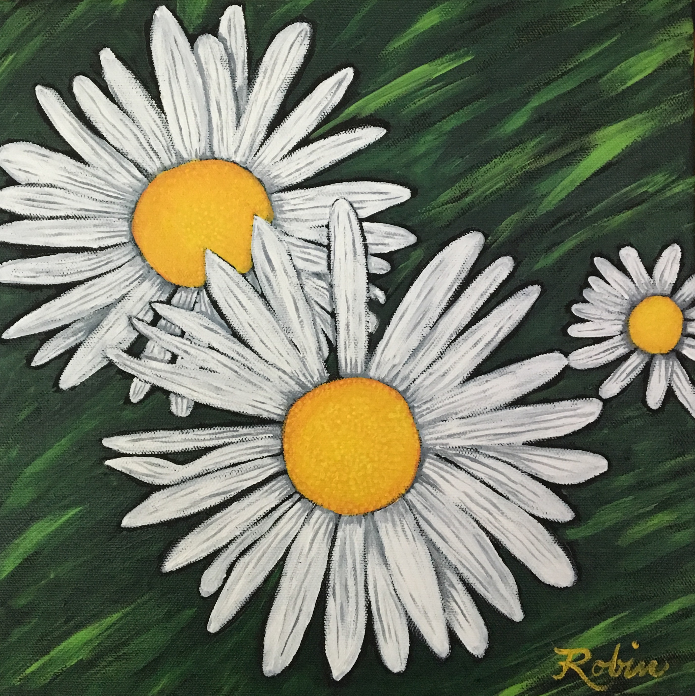 my gallery | robinbrayfineart