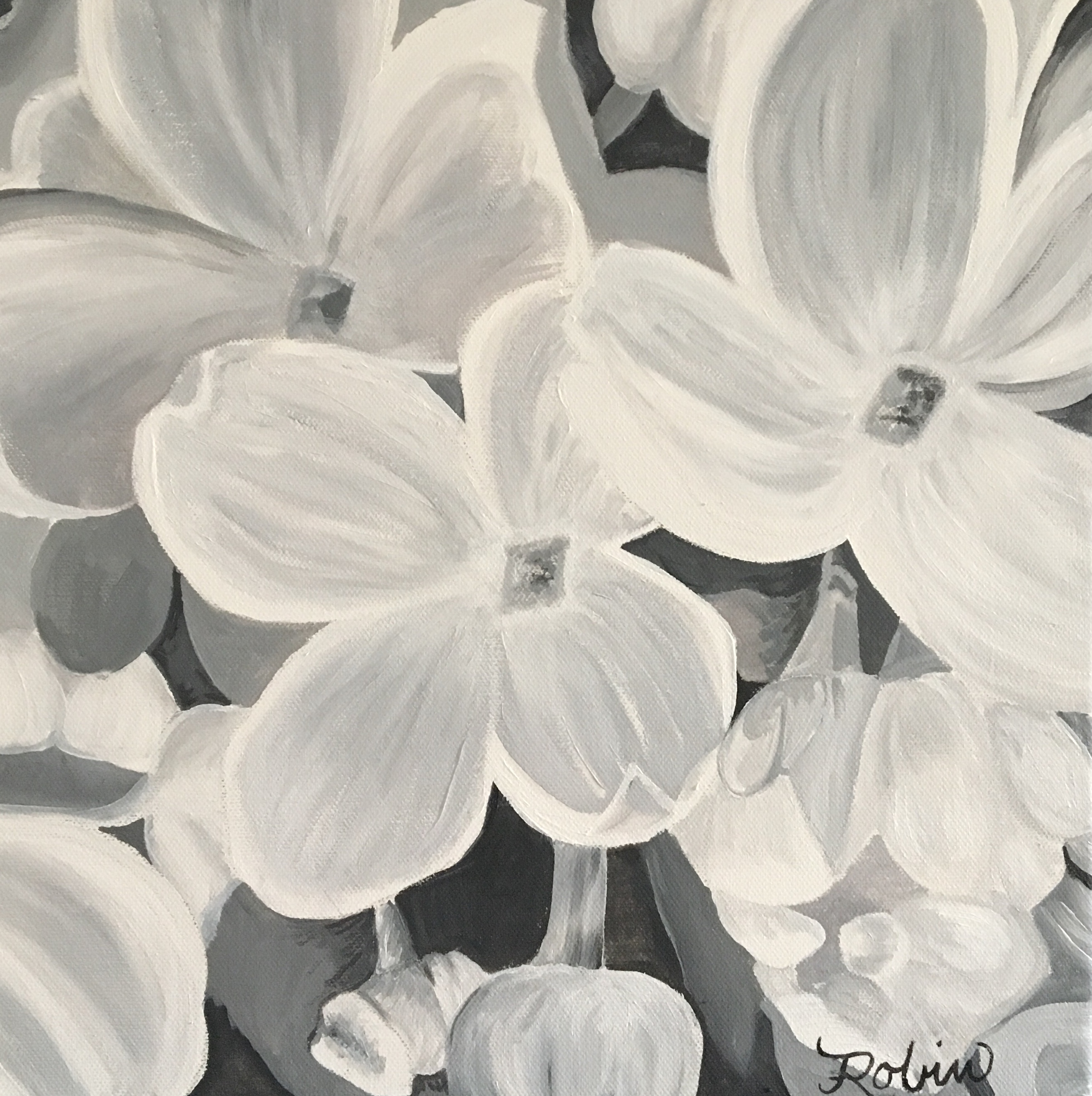 my gallery | robinbrayfineart