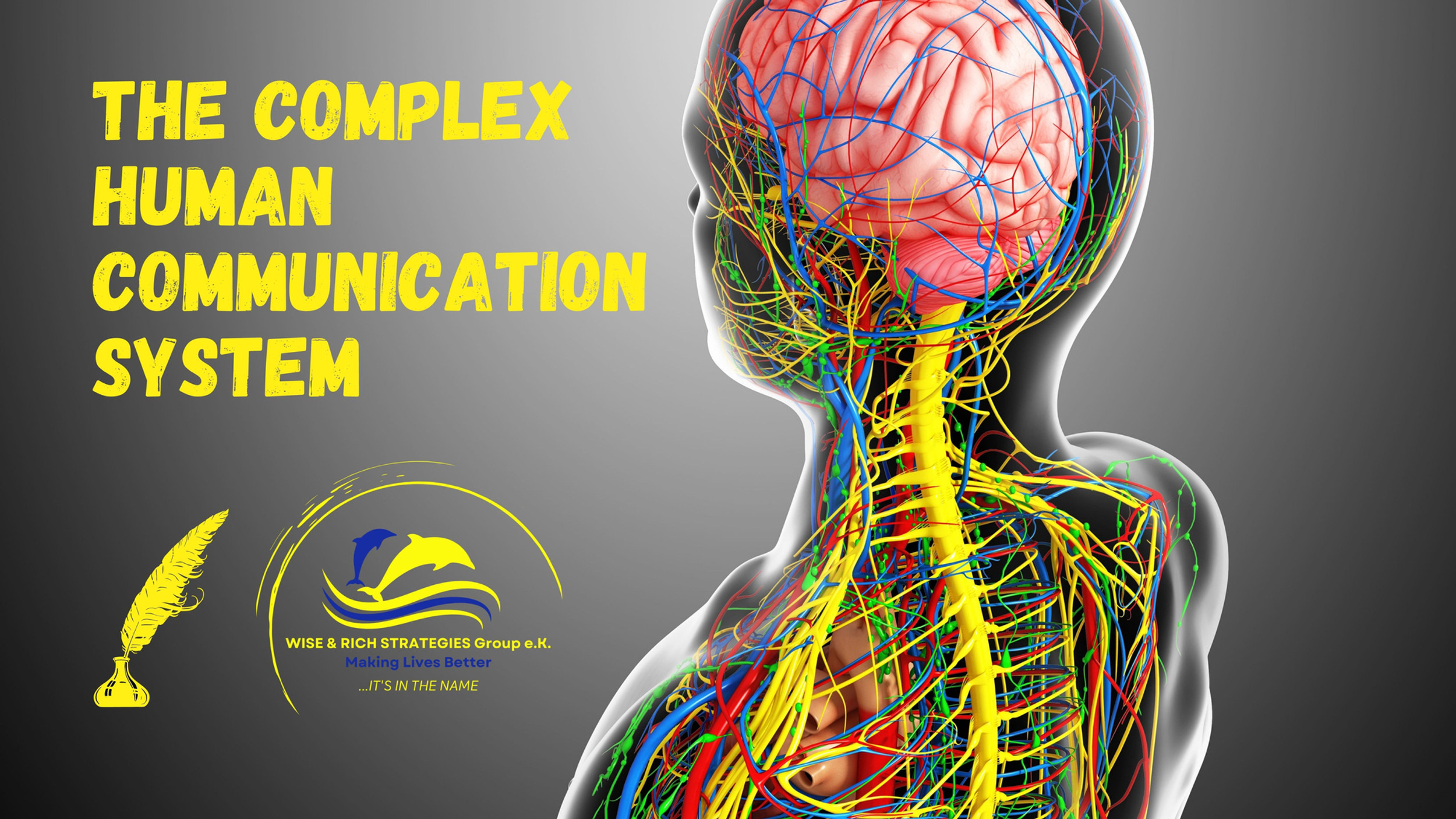 Mystery of our Nervous System