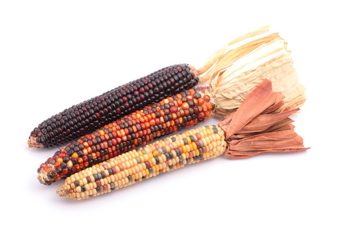 Muhindi (Corn) | 7 Principles 365