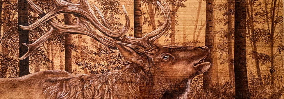 North Star Pyrography | pyrography artist | Sparwood, BC, Canada