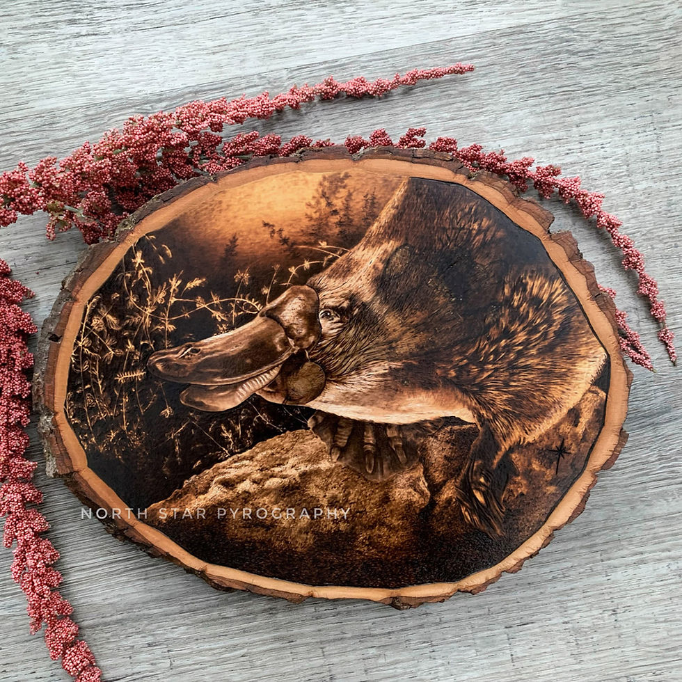 North Star Pyrography | pyrography artist | Sparwood, BC, Canada
