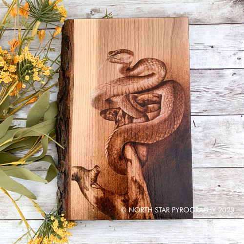 Snake on Cherry | NorthStar Pyrography