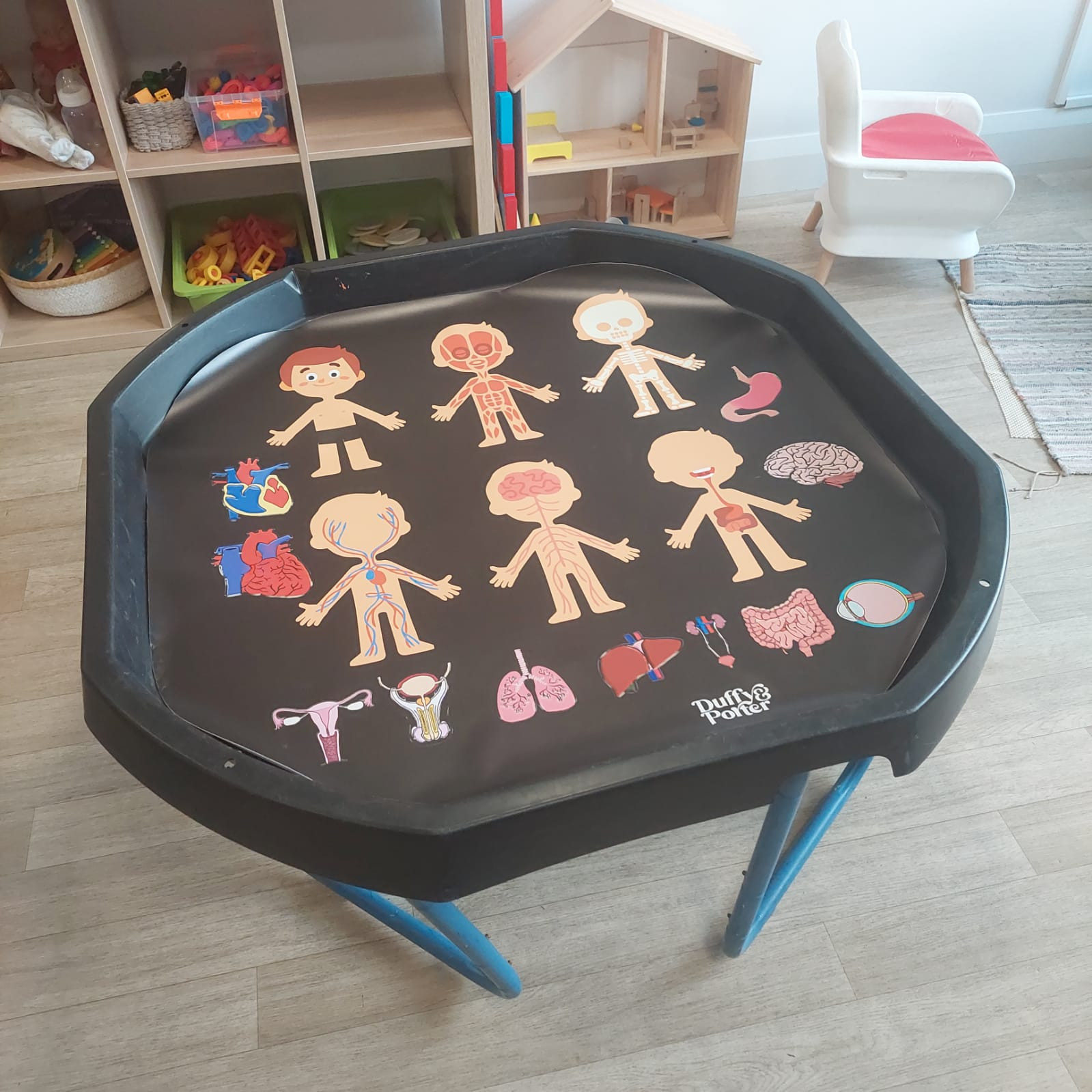 Duffy&Porter Human Body Play Scene