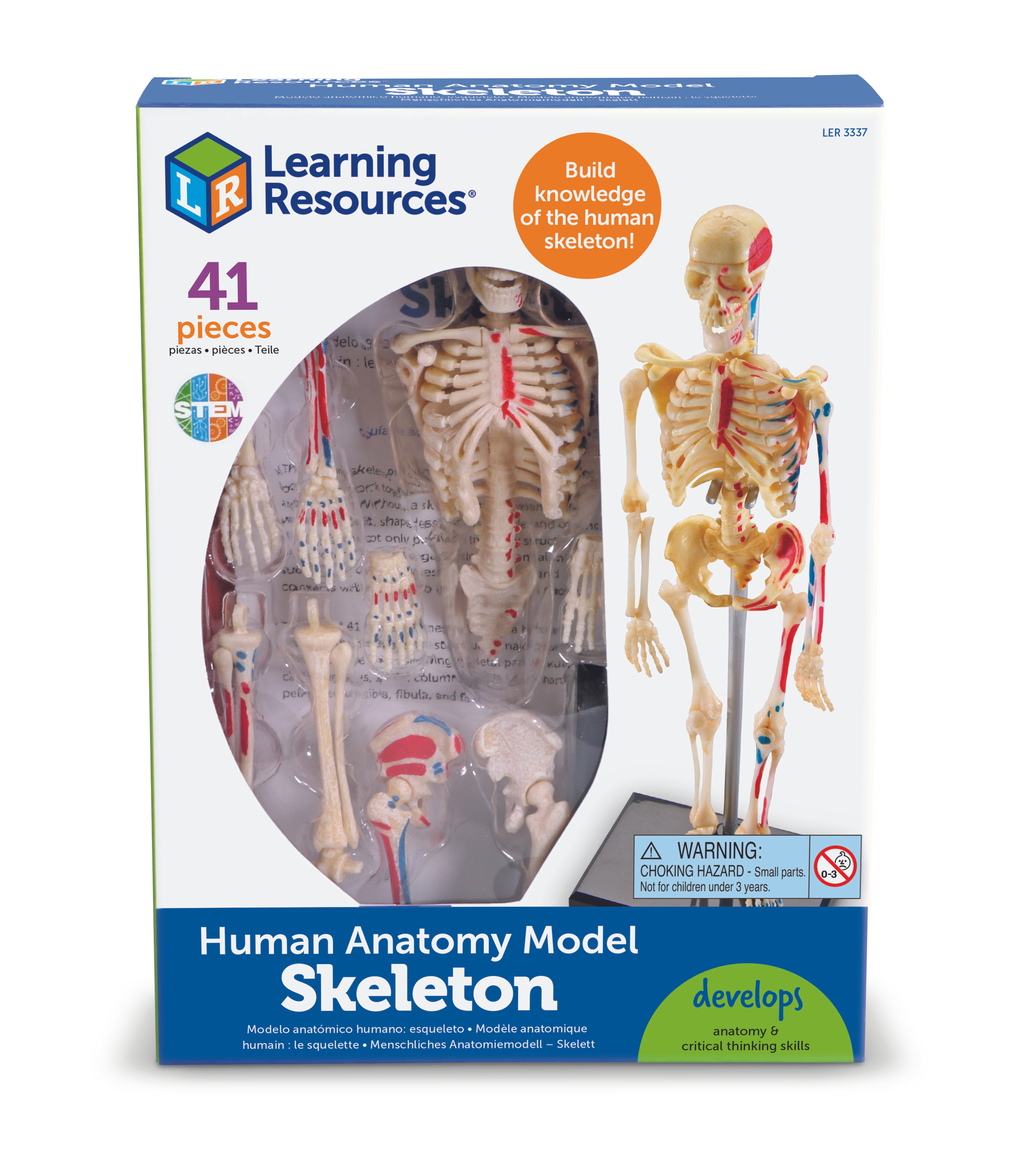 Learning Resources Skeleton Modelhttps://static.wixstatic.com/media ...