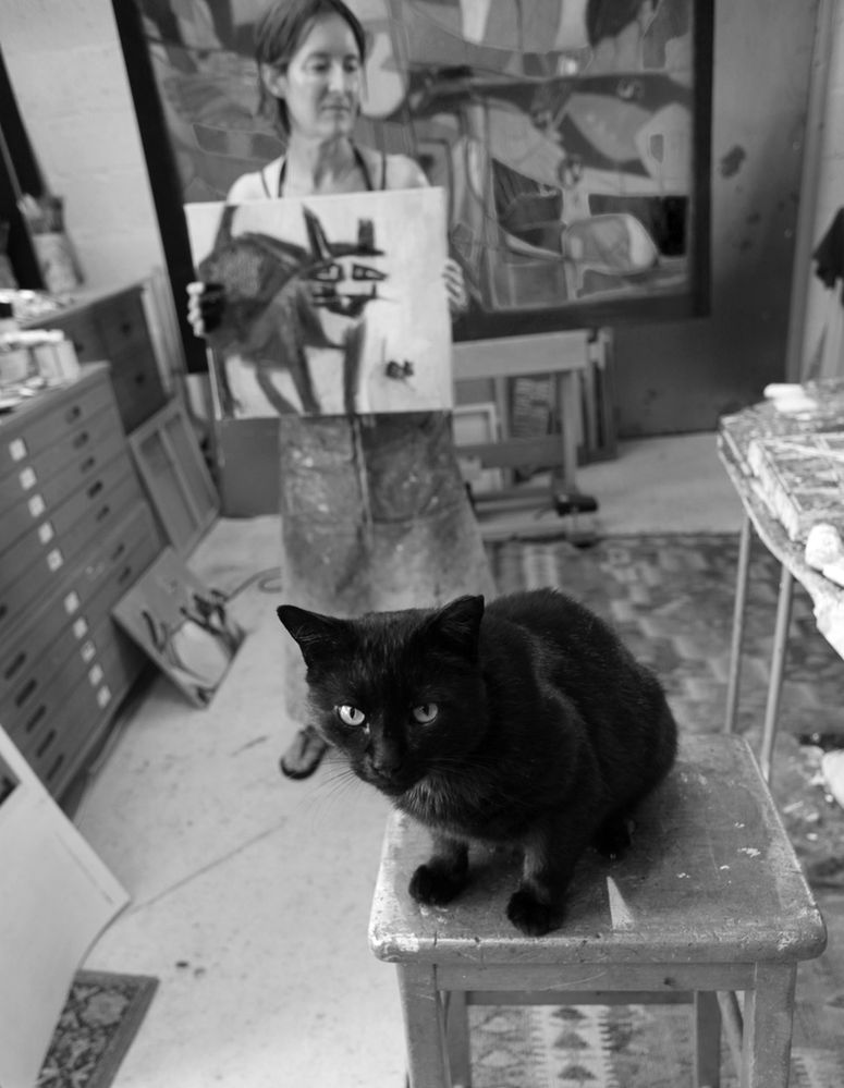 An interview with... the artist Rachel Lockwood