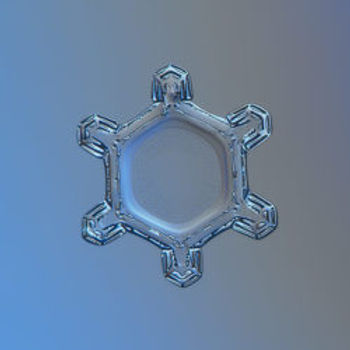 Agua Hexagonal o Estructurada