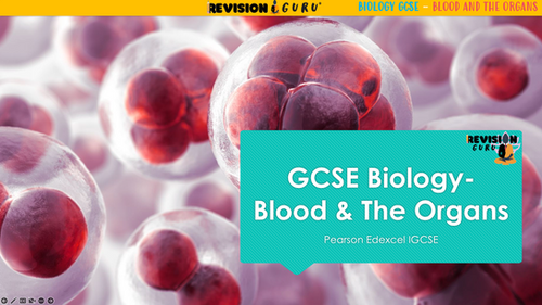GCSE Biology - Blood & The Organs Revision Guide