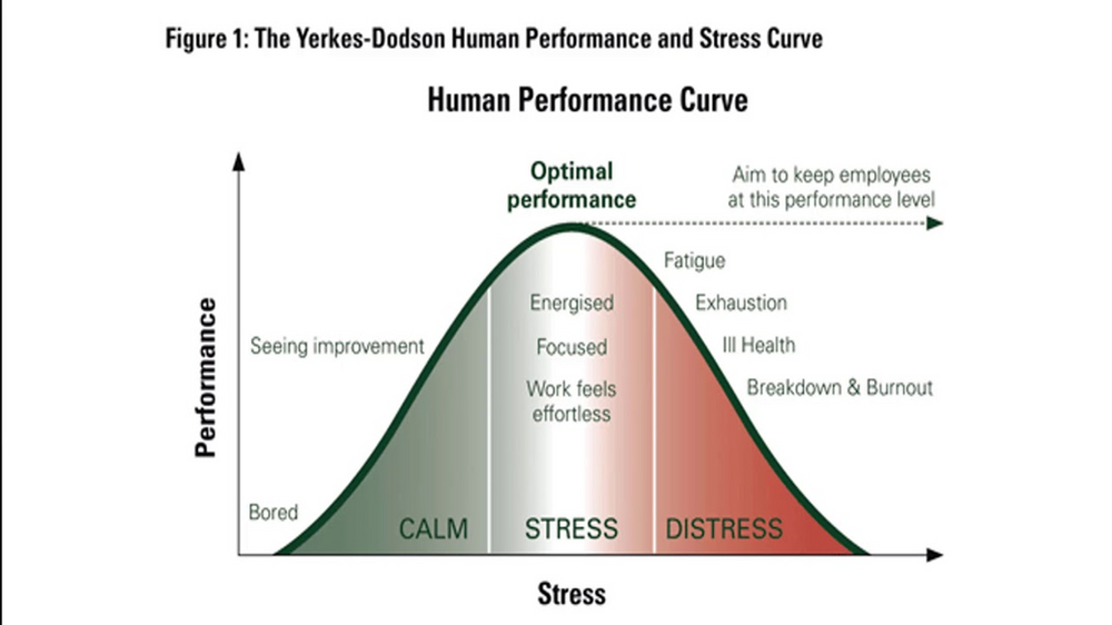 Coping arousal, stress and distress tolerance skills