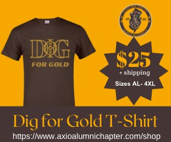 DIG FOR GOLD | AXIO IOTAS