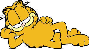 Garfield Reading Test