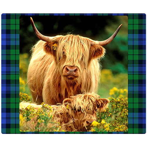 Highland Coo Placemats | Celtic Thunder