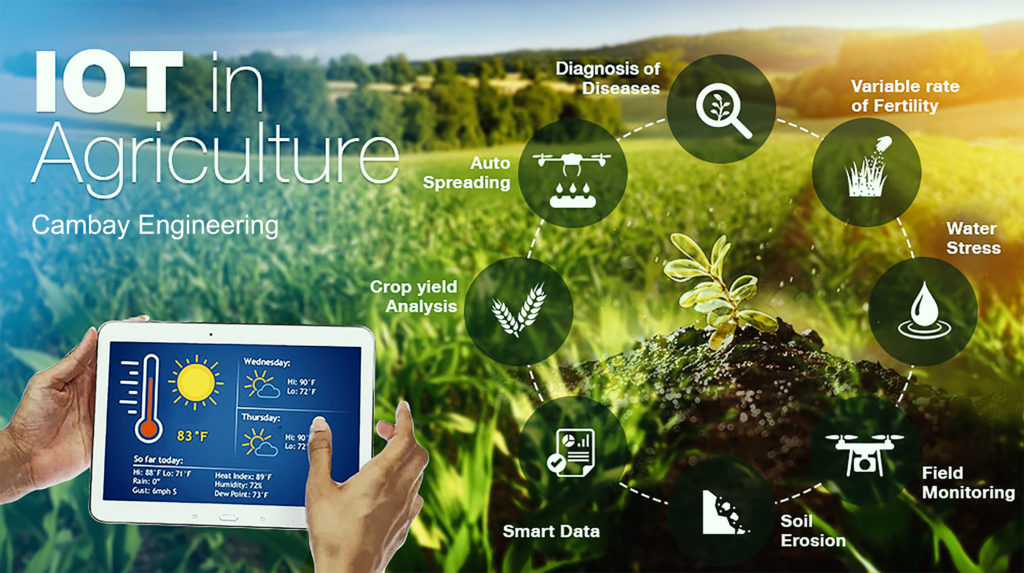 5 Inovasi Teknologi dalam Transformasi Industri Pertanian Menuju Arah yang Lebih Efisien