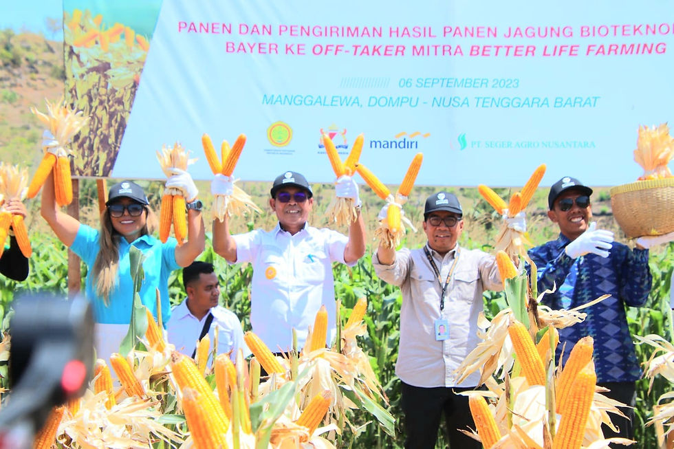 Inovasi dalam Benih dan Tanaman Modifikasi Genetik: Meningkatkan ...