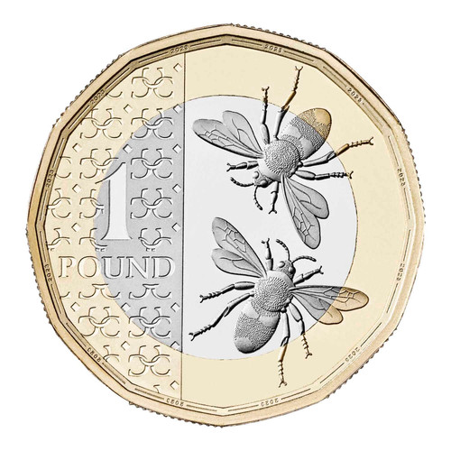 2023 King Charles Bees £1 | Romiley Coins