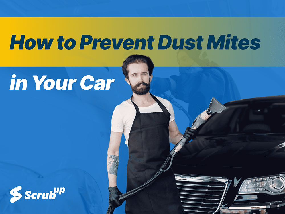 How to Prevent Dust Mites in Your Car