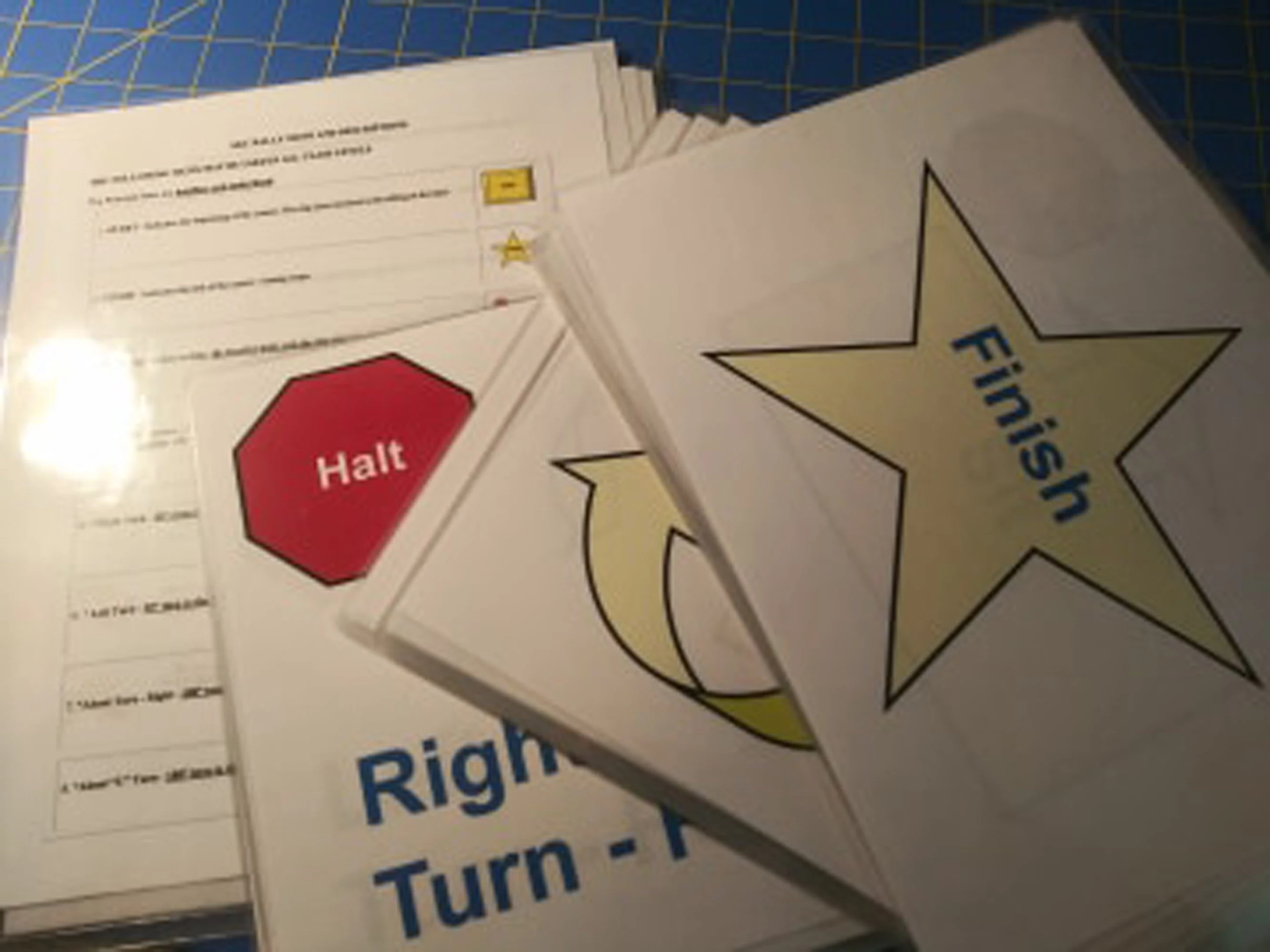 AKC Rally Laminated Sign Set NOVICE - MASTER | River Rock Kennel at