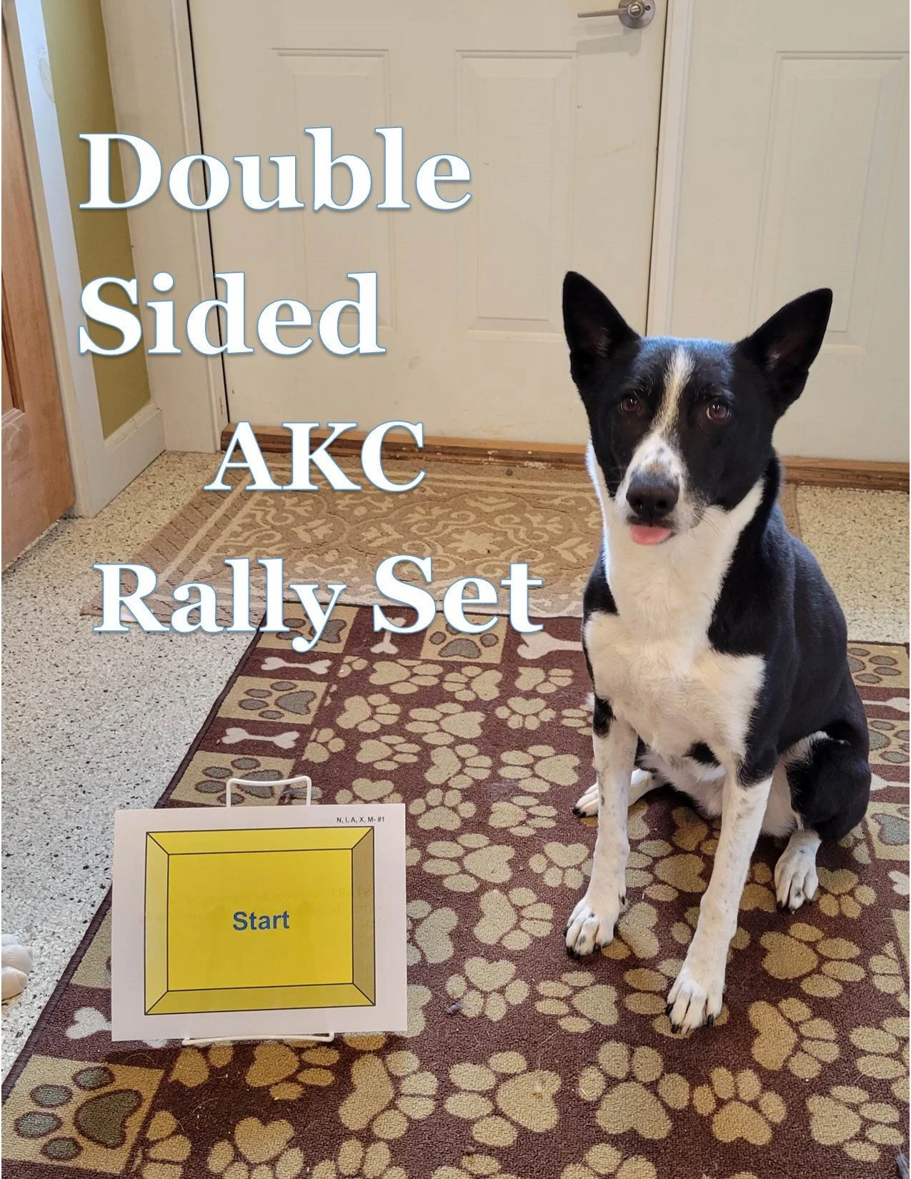 AKC Rally Novice Double Sided Laminated Sign Deluxe Set | River Rock ...